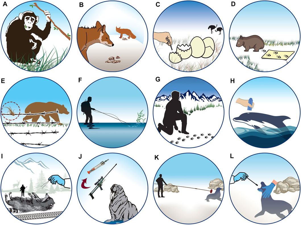Frontiers | A New Non-invasive Method for Collecting DNA From Small ...