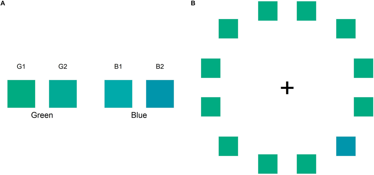 Frontiers | Lateralization of Color Discrimination Performance and ...