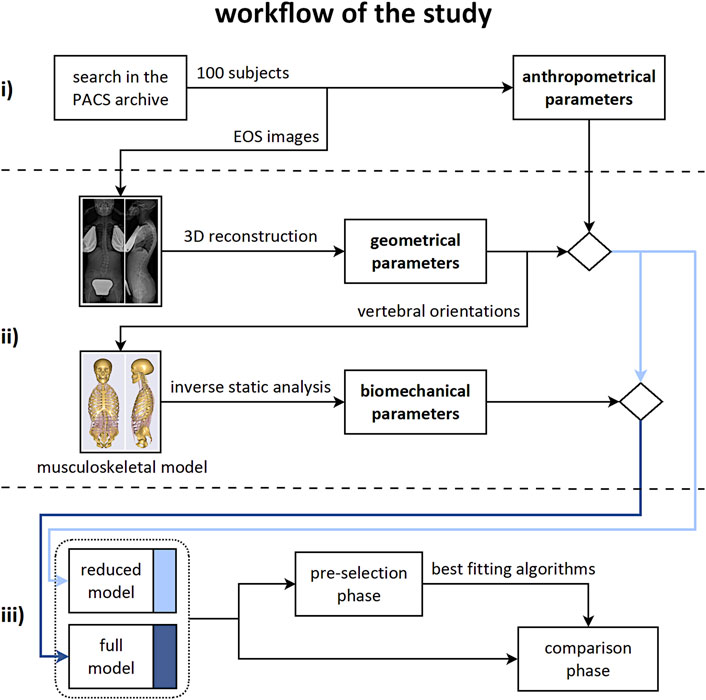 Frontiers | Accounting for Biomechanical Measures from Musculoskeletal ...