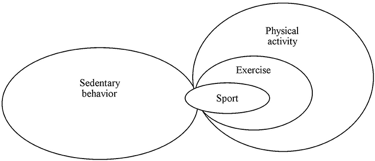 Frontiers | What Elements of Sport and Exercise Science Should Primary ...