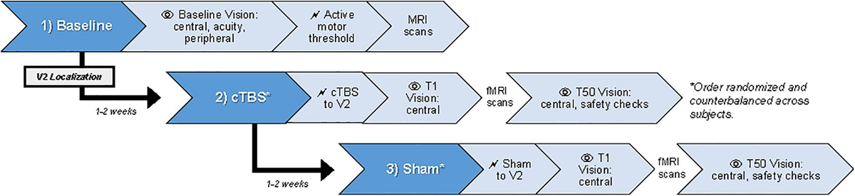 Frontiers | Continuous Theta Burst Stimulation to the Secondary Visual ...