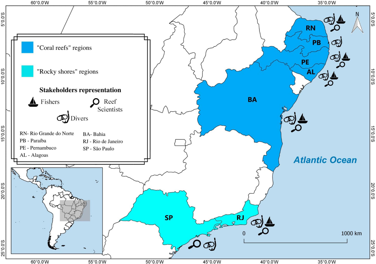 Frontiers | Integrating Different Types of Knowledge to Understand ...