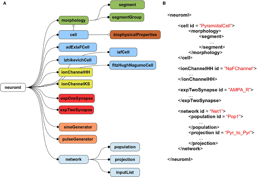 Frontiers | libNeuroML and PyLEMS: using Python to combine procedural ...
