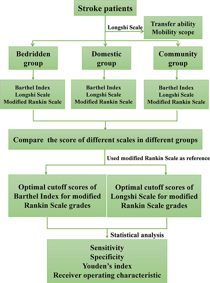 Frontiers | Functional Independence and Disability Evaluation in Stroke ...