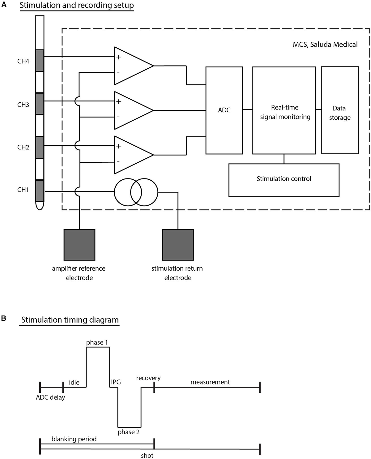 Frontiers | Electrophysiological Responses in the Human S3 Nerve During ...