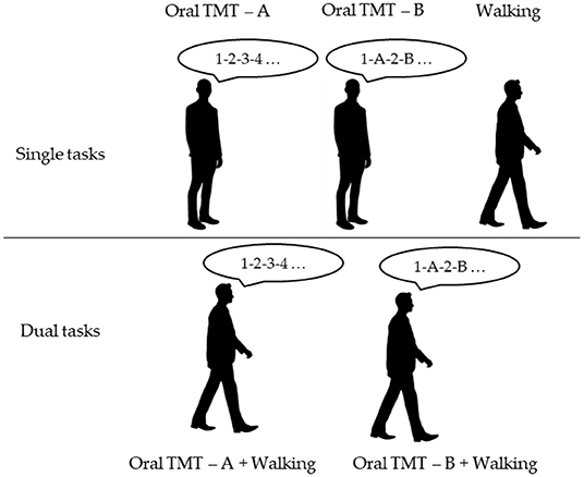 Frontiers | A Dual-Task Paradigm Using the Oral Trail Making Test While ...