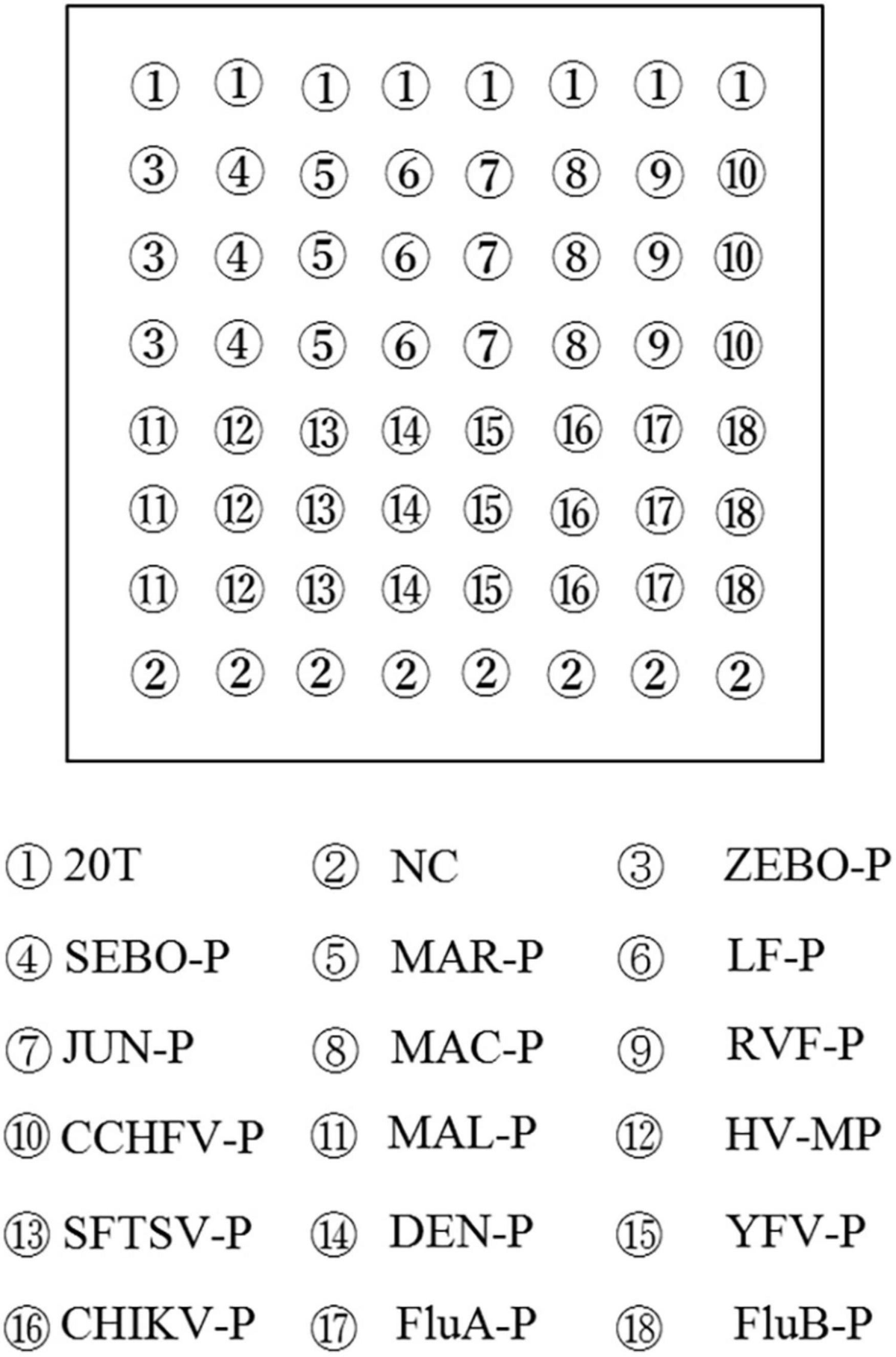 Frontiers | Simultaneous Detection of Ebola Virus and Pathogens ...