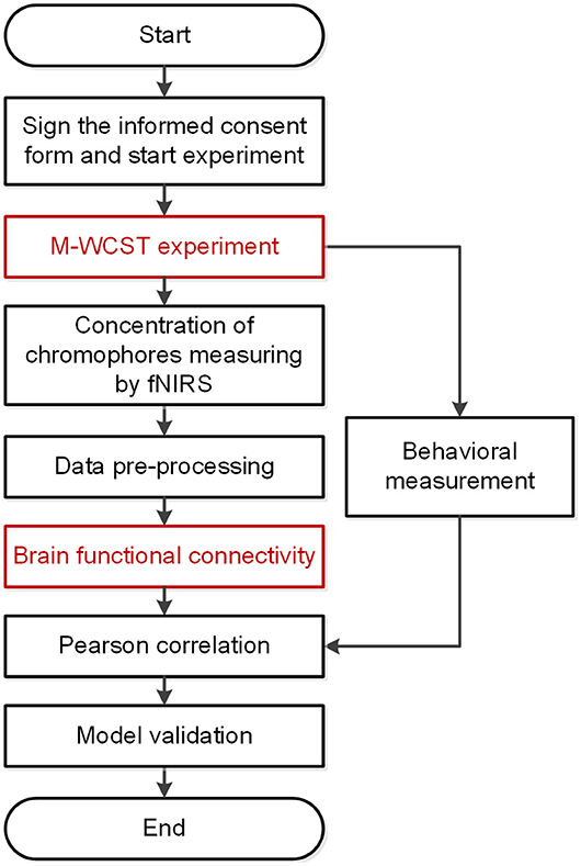 Frontiers | Functional Brain Network Analysis of Knowledge Transfer ...