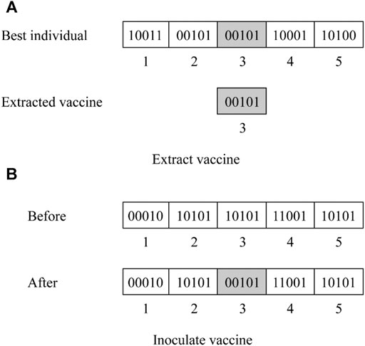 Frontiers | Distant Relative Genetic Algorithm–Based Structural ...