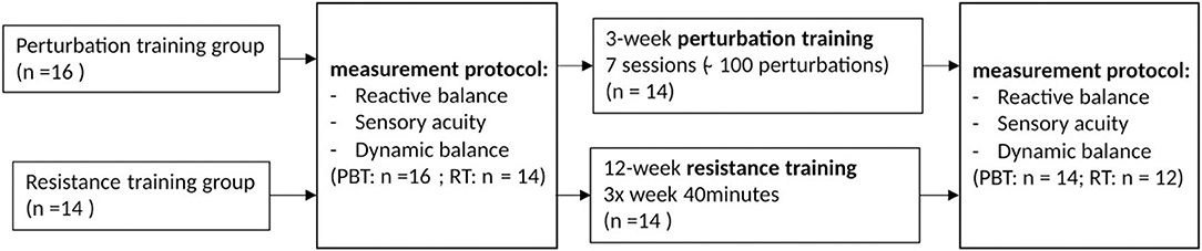 Frontiers | Adaptations in Reactive Balance Strategies in Healthy Older ...