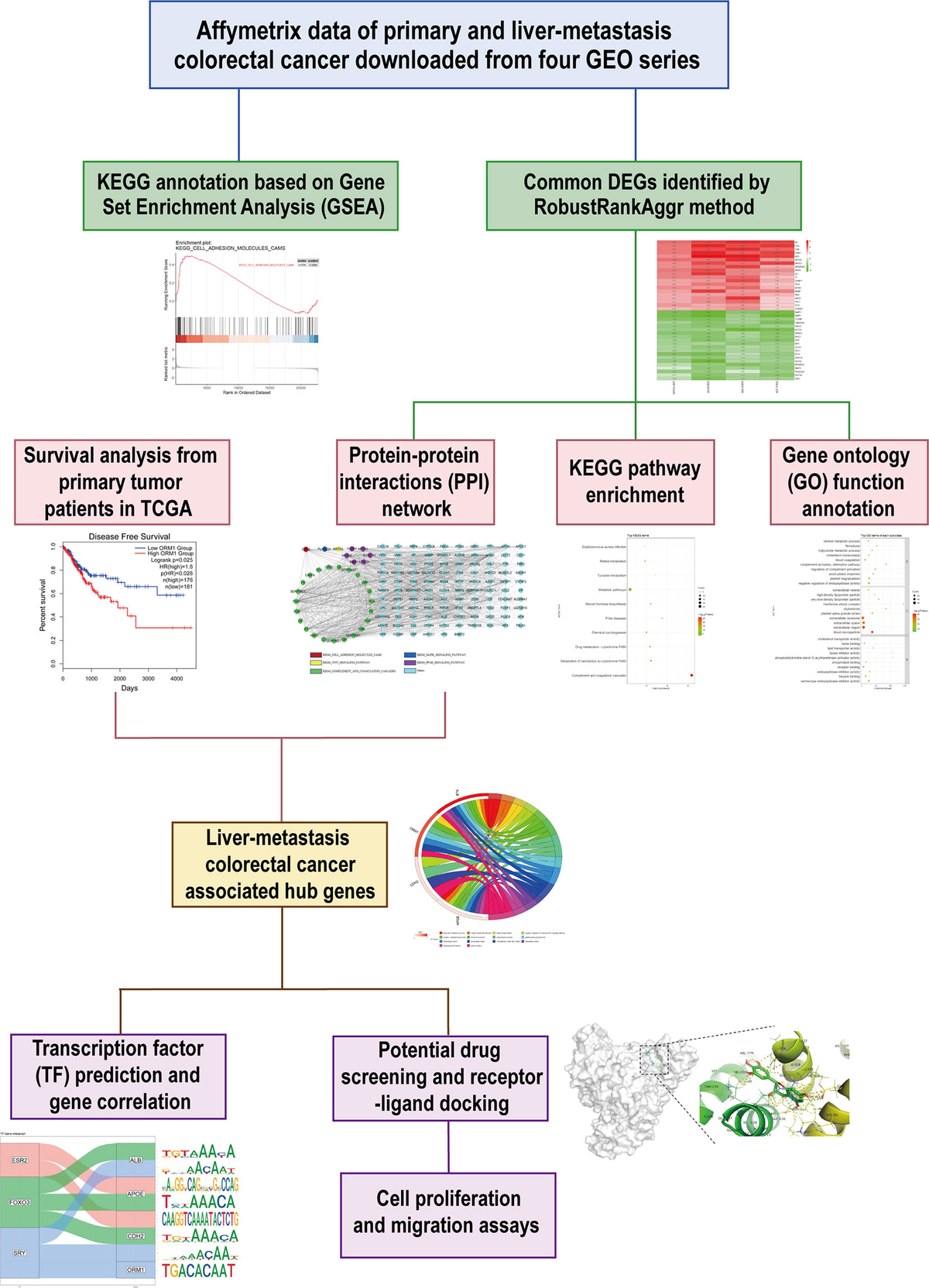 Frontiers | Identification of Hub Genes Related to Liver Metastasis of ...
