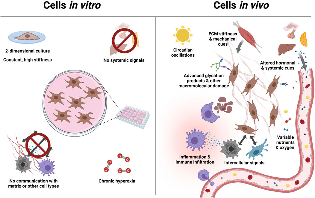 Frontiers | In vivo Pooled Screening: A Scalable Tool to Study the ...