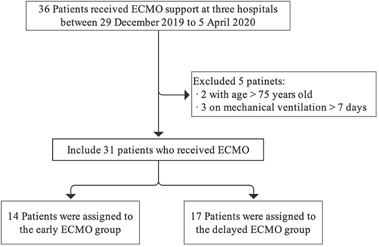 Frontiers | Delayed Initiation of ECMO Is Associated With Poor Outcomes ...