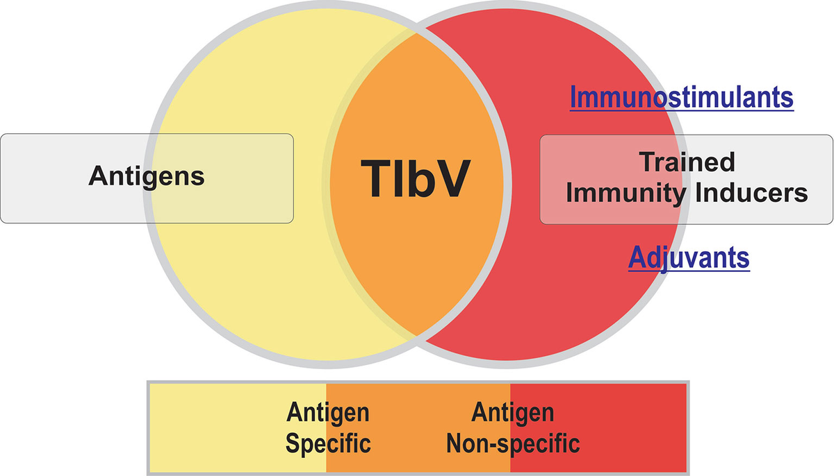 Frontiers Editorial Trained Immunity Based Vaccines
