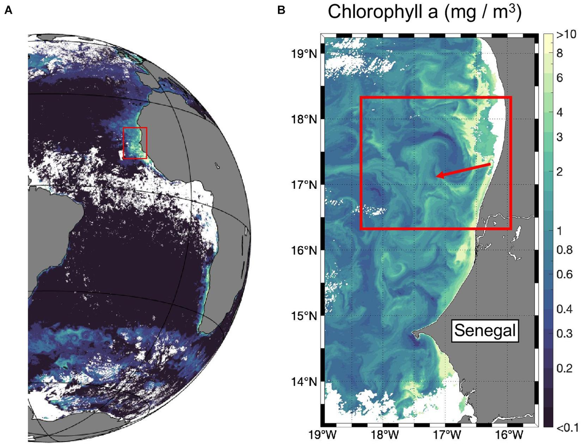 Frontiers | Variability of the Sea Surface Microlayer Across a Filament’s Edge and Potential ...