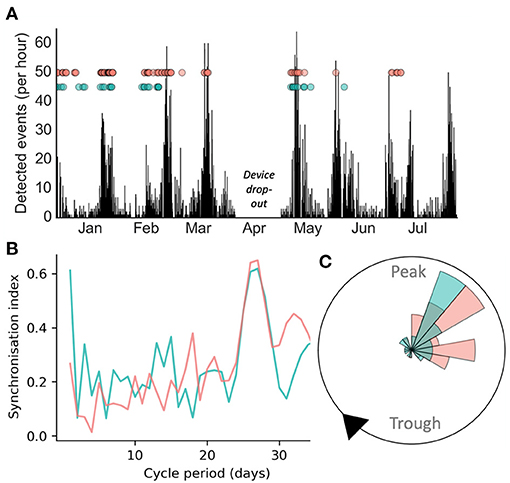 Frontiers | Epileptic Seizure Cycles: Six Common Clinical Misconceptions