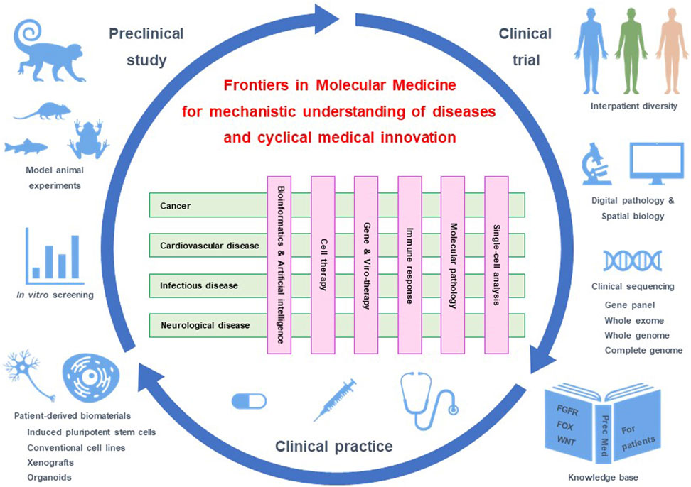 Frontiers | Grand Challenges in Molecular Medicine for Disease ...