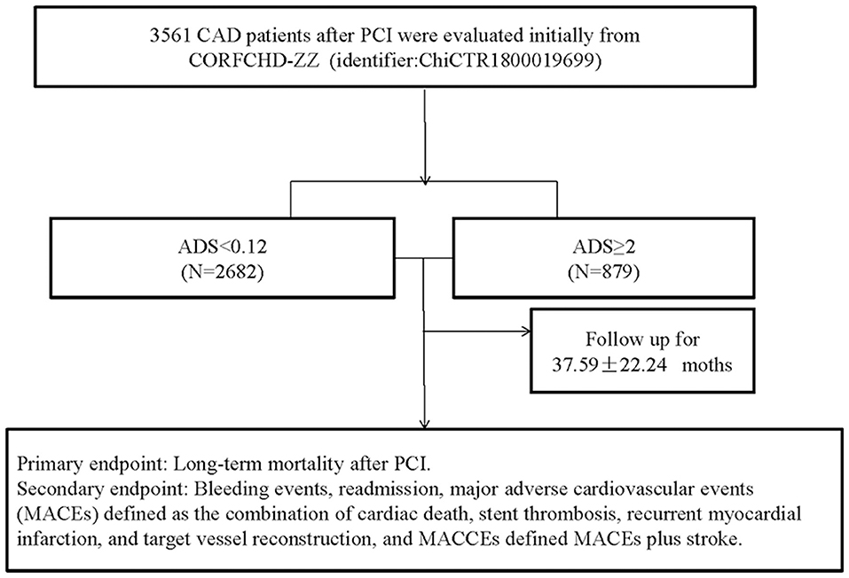 Frontiers | ADS Score as a Novel Predictor of Outcomes in Patients Who ...