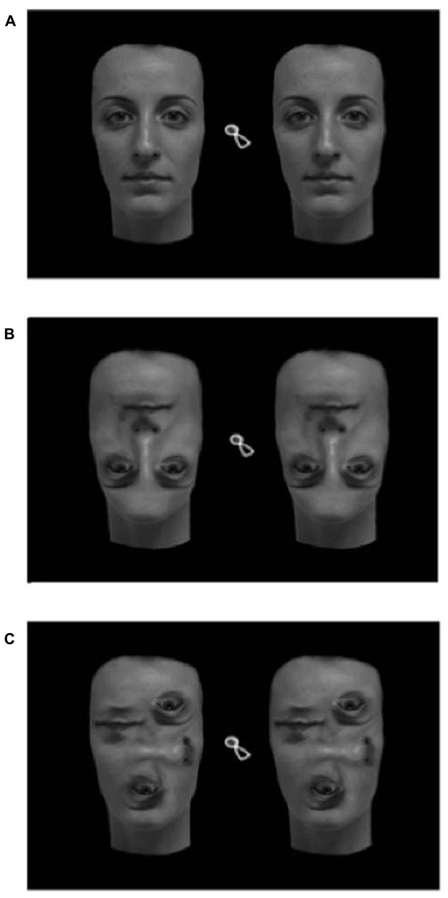 Frontiers | How a face may affect object-based attention: evidence from ...