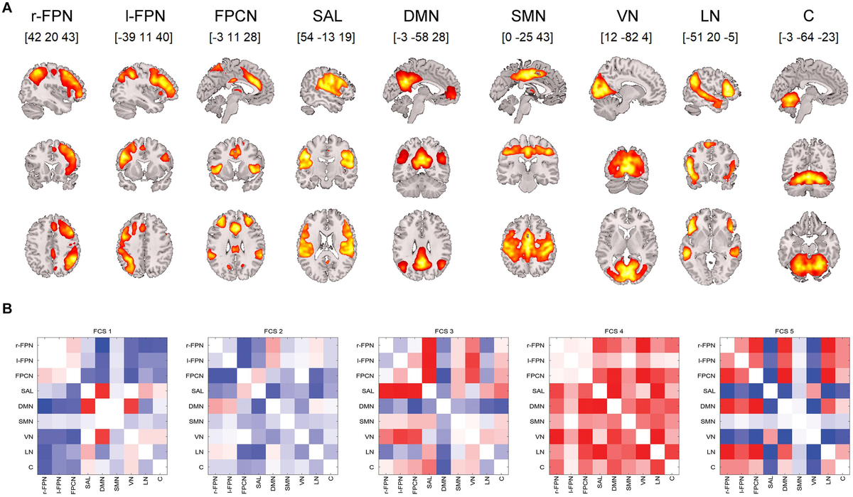 Frontiers | Dynamic Functional Connectivity Signifies the Joint Impact ...