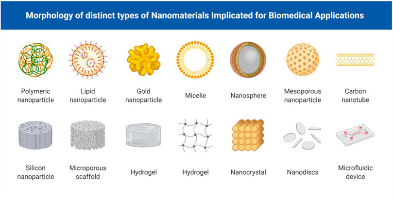 Frontiers | Perspective Insights to Bio-Nanomaterials for the Treatment ...