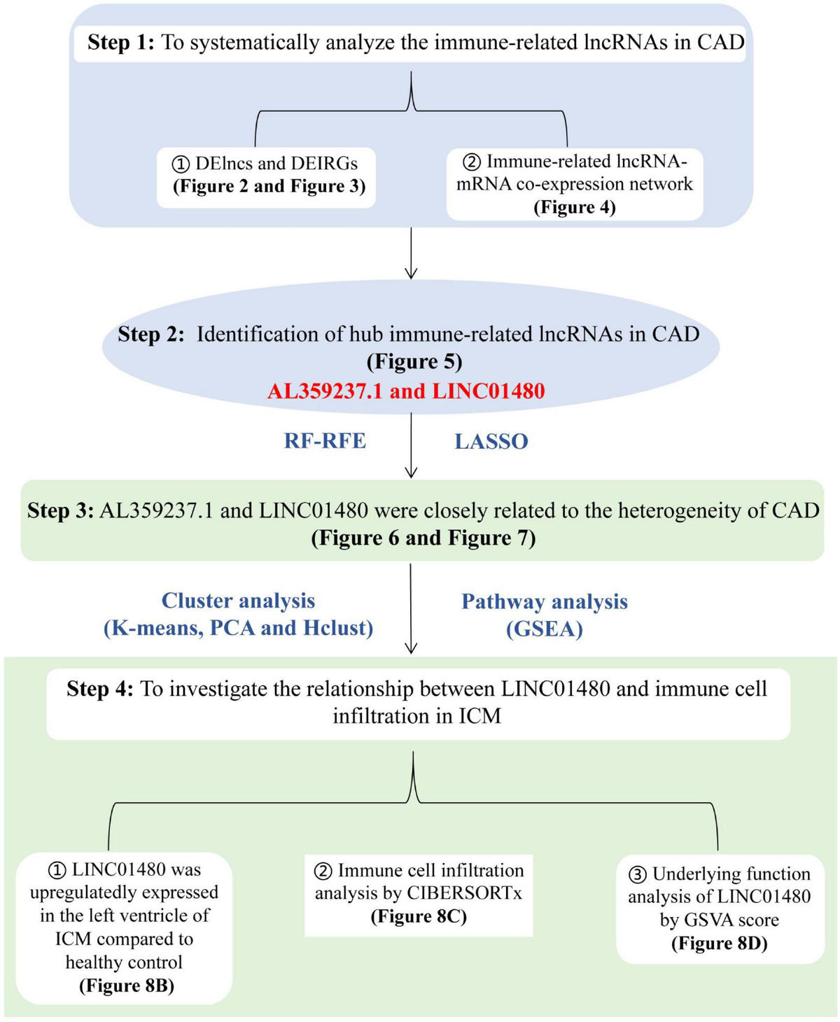Frontiers | Upregulation of the Long Non-coding RNA LINC01480 Is ...