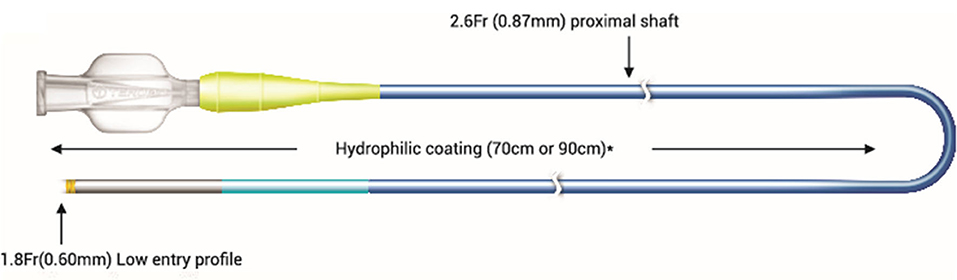 Frontiers | Guiding Principles for the Clinical Use and Selection of ...