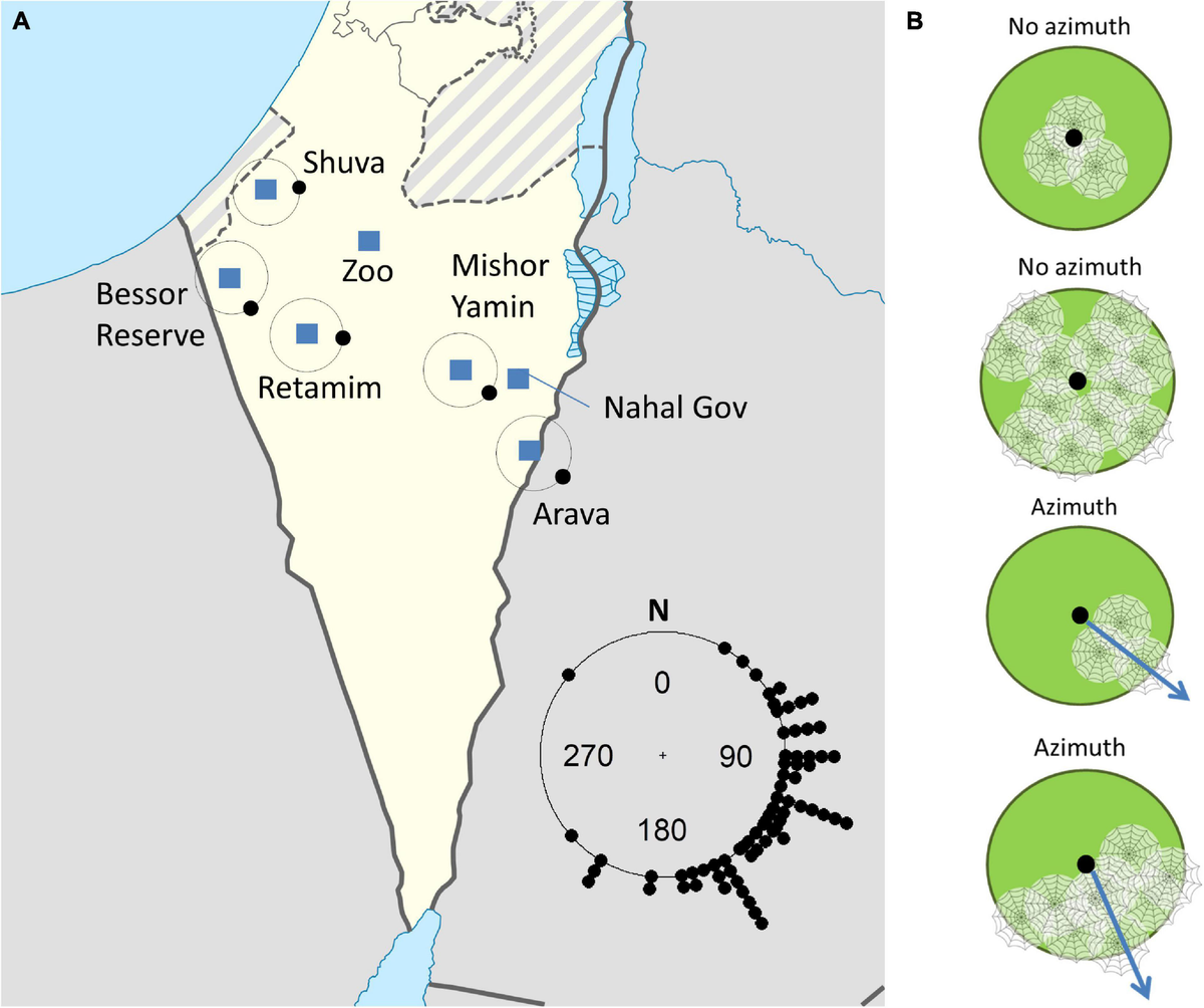 Frontiers | Long-Term Colony Dynamics and Fitness in a Colonial Tent ...