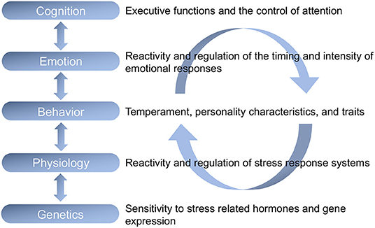 Frontiers | A Hierarchical Integrated Model of Self-Regulation