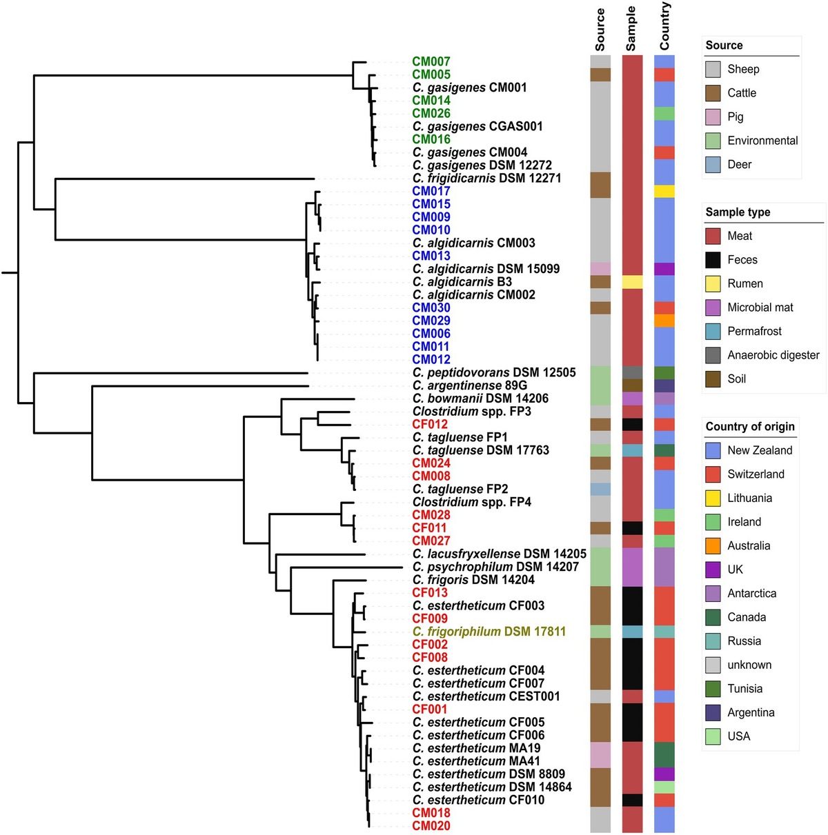 Frontiers | Whole Genome Sequence-Based Identification of Clostridium ...