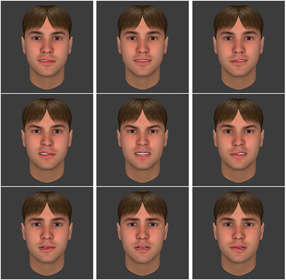 Frontiers | The Influence of Facial Asymmetry on Genuineness Judgment