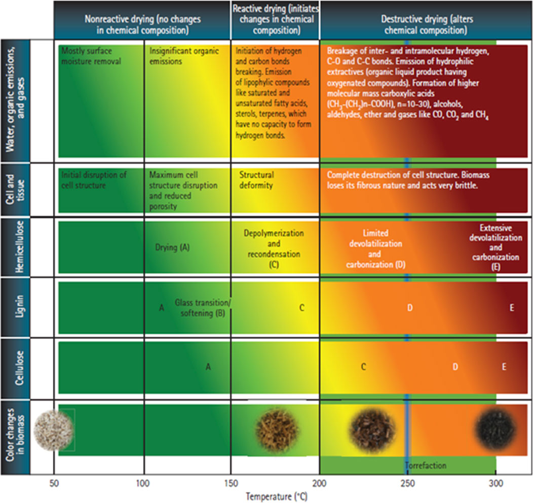 Frontiers | Biomass Torrefaction Process, Product Properties, Reactor ...