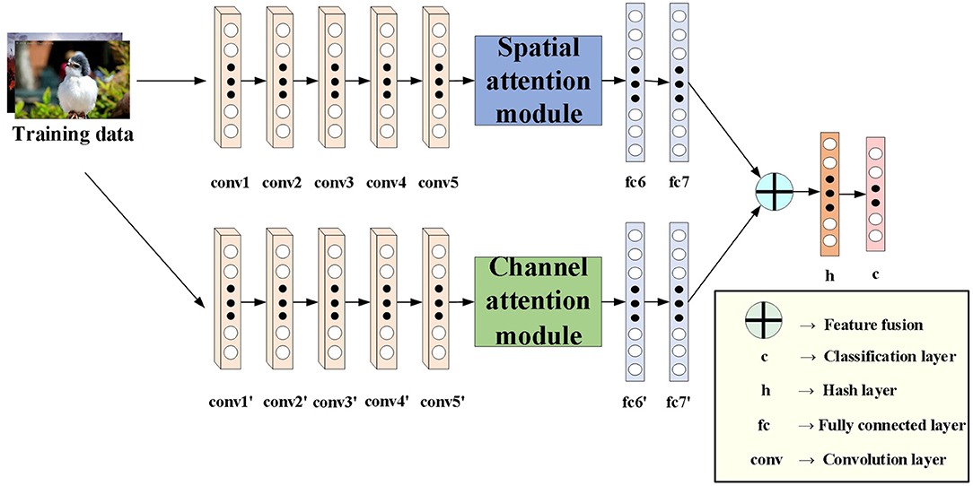 Frontiers | Dual Attention Triplet Hashing Network for Image Retrieval