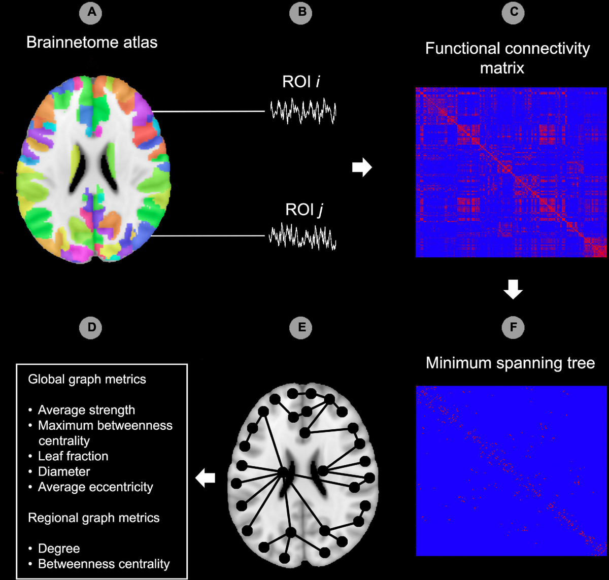 Frontiers | Spontaneous brain activity, graph metrics, and head motion ...
