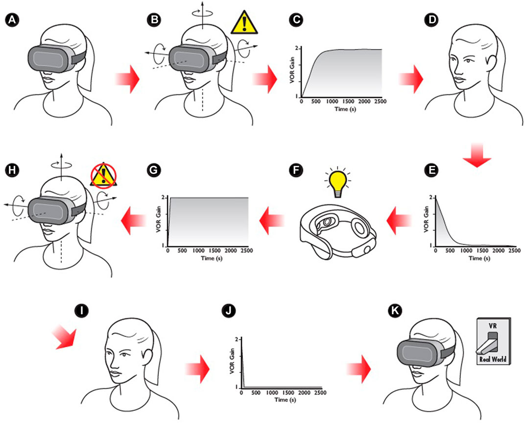 Frontiers | Virtual Reality as a Context for Adaptation