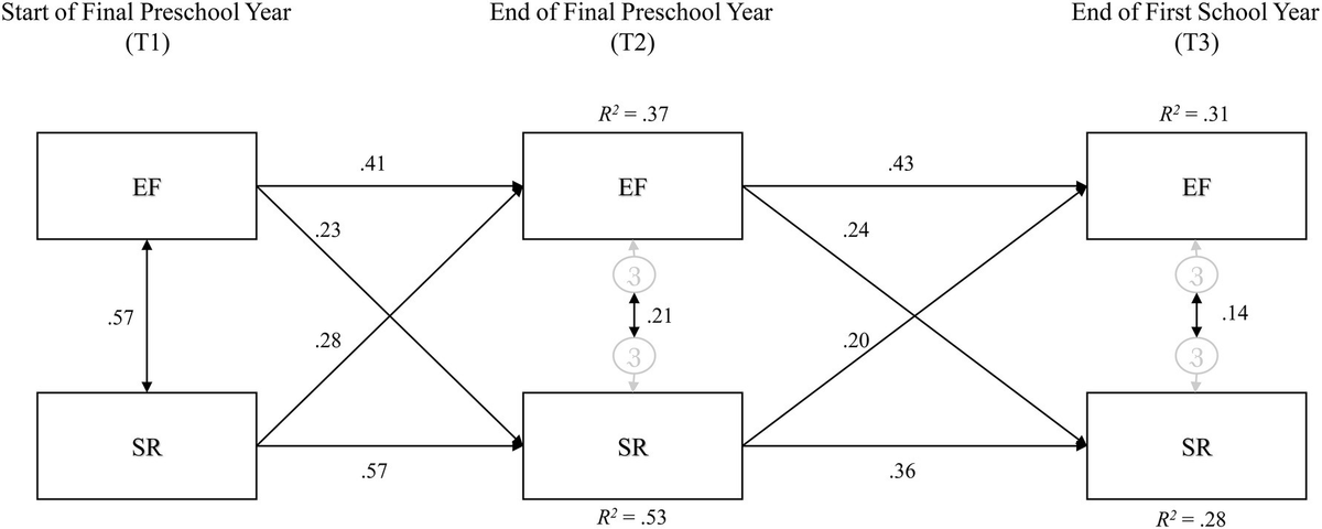 Frontiers | Executive Function and Self-Regulation: Bi-Directional Longitudinal Associations and ...