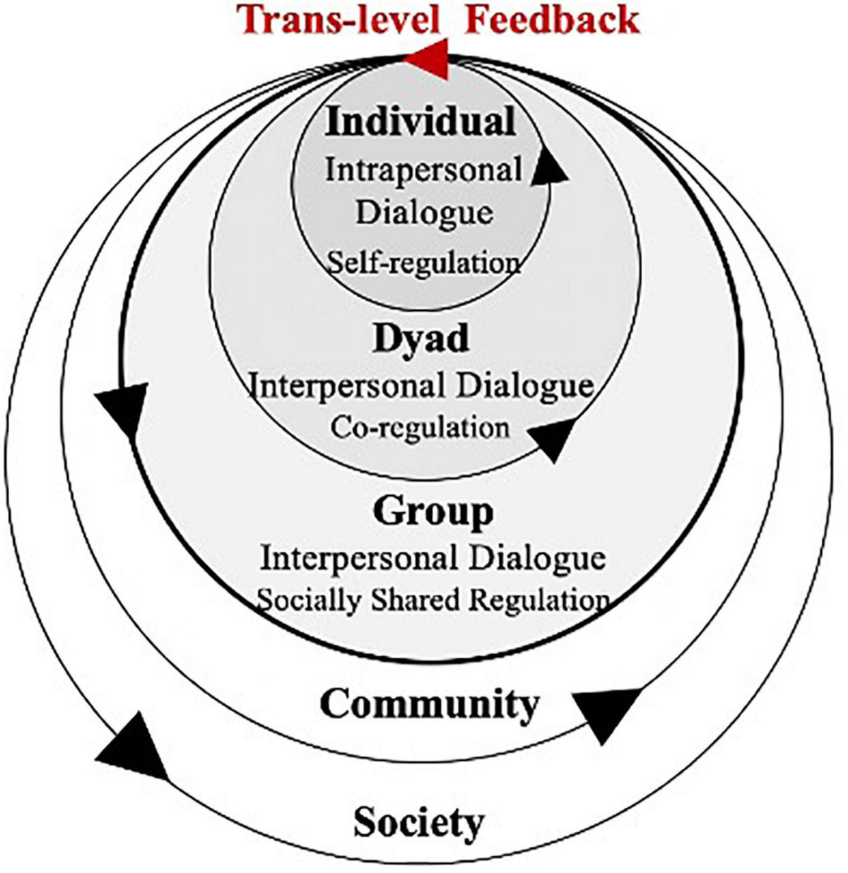 Frontiers | Trajectories of Idea Emergence in Dialogic Collaborative ...