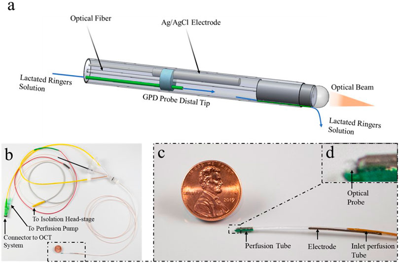 Frontiers | Minimally Invasive Image-Guided Gut Transport Function ...
