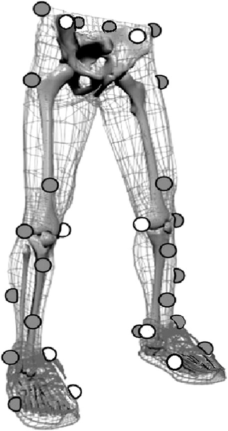 Frontiers | Prediction of the Risk Factors of Knee Injury During Drop ...