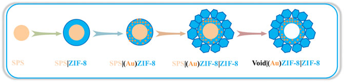 Frontiers | Step by Step Construction of Multifunctional Hollow Double ...