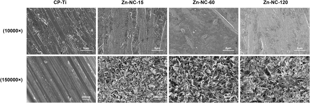 Frontiers | Hydrothermal Synthesis of Zinc-Incorporated Nano-Cluster ...