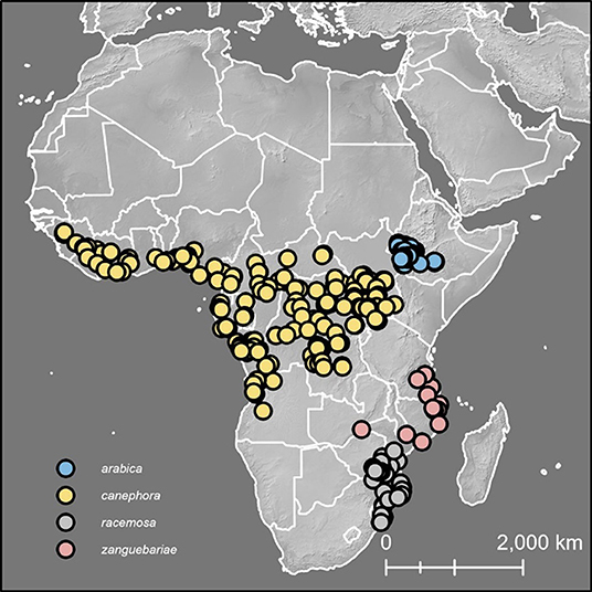 Frontiers | Hot Coffee: The Identity, Climate Profiles, Agronomy, and ...