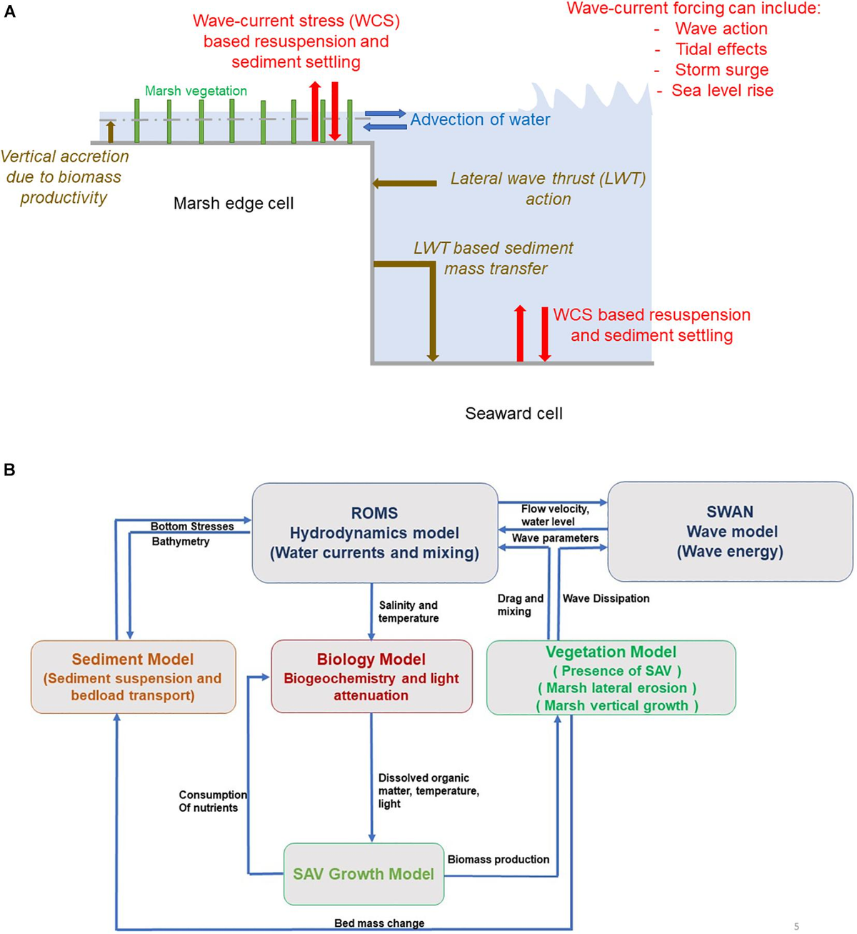 Frontiers | Modeling Marsh Dynamics Using a 3-D Coupled Wave-Flow ...