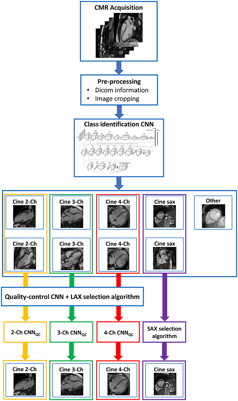 Frontiers | Deep Learning for Classification and Selection of Cine CMR ...