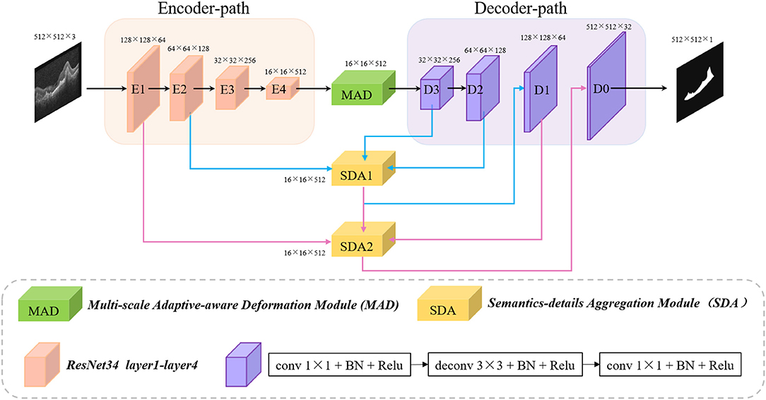 Frontiers | MF-Net: Multi-Scale Information Fusion Network for CNV ...