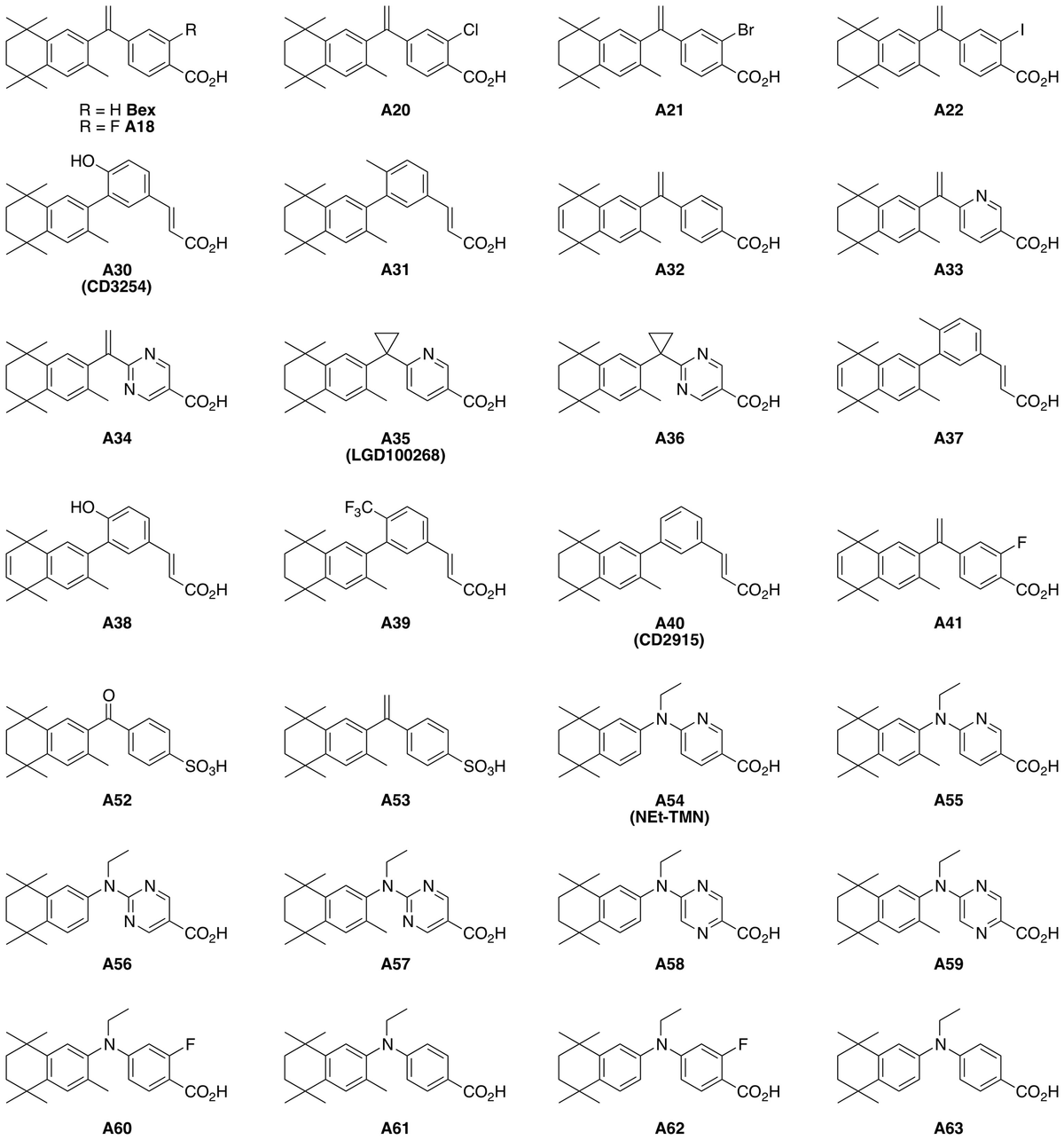 Frontiers | Rexinoids Modulate Effector T Cell Expression of Mucosal ...