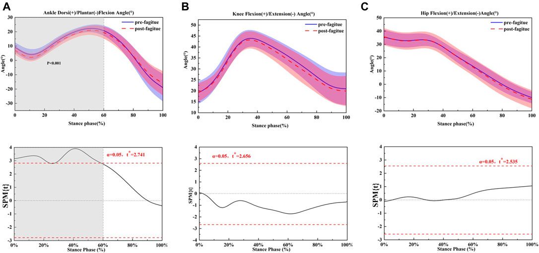 Frontiers | Effects of Fatigue Running on Joint Mechanics in Female ...