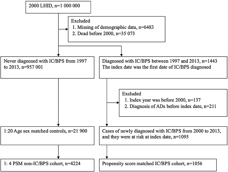Frontiers | Risk of Autoimmune Diseases in Patients With Interstitial ...
