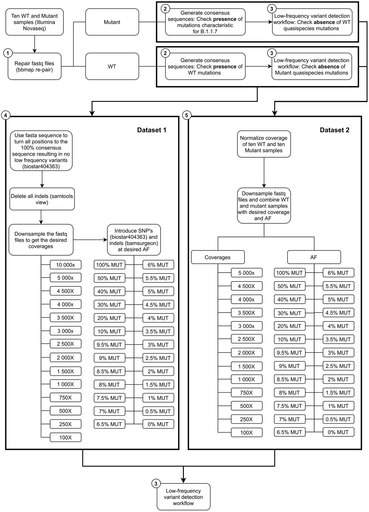 Frontiers | Strategy and Performance Evaluation of Low-Frequency Variant Calling for SARS-CoV-2 ...