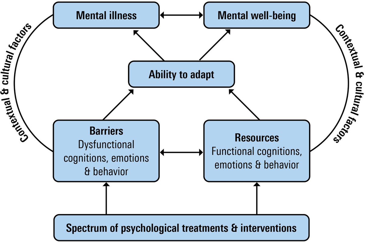 Frontiers | The Model for Sustainable Mental Health: Future Directions ...